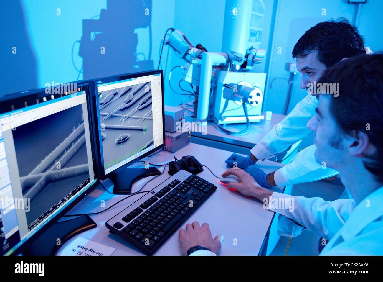 Analysis of nanostructures and nanodevices using SEM, Environmental ...