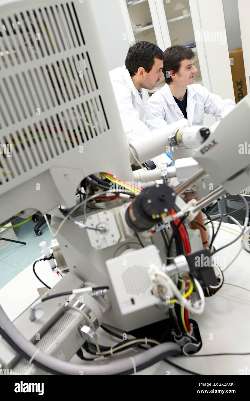 Scanning electron microscope sem image hi-res stock photography and ...