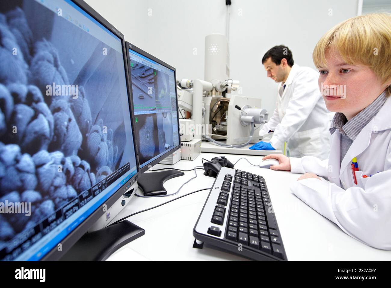 Discussing on SEM images, Analysis of nanostructures and nanodevices ...