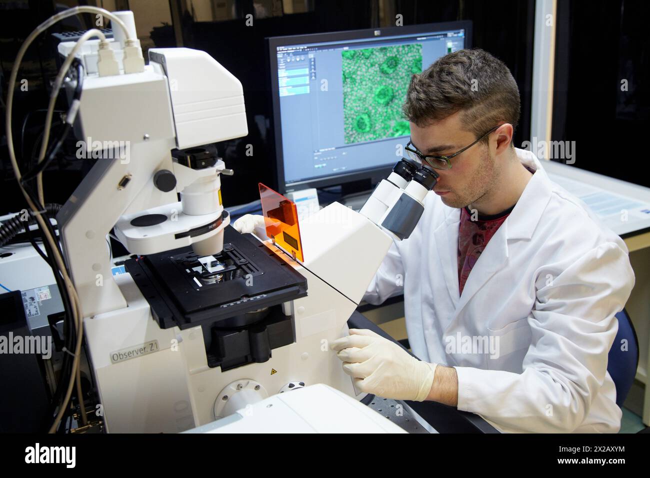 Analyzing fluorescent labelled samples, Axio Observer Z1 Inverted Phase ...