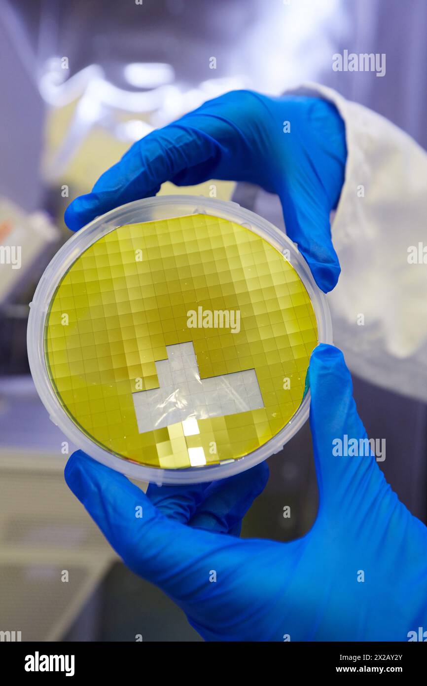 Sample. FIB, Focused-Ion-Beam Nanofabrication Laboratory, Dual-Beam ...