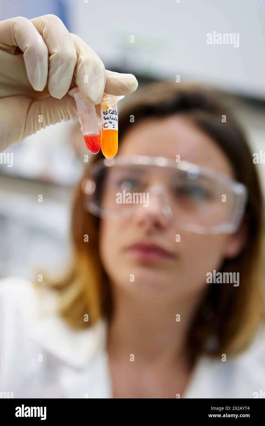 Quantum dots, eye inspection, samples, Laboratory of Nanobiotechnology ...