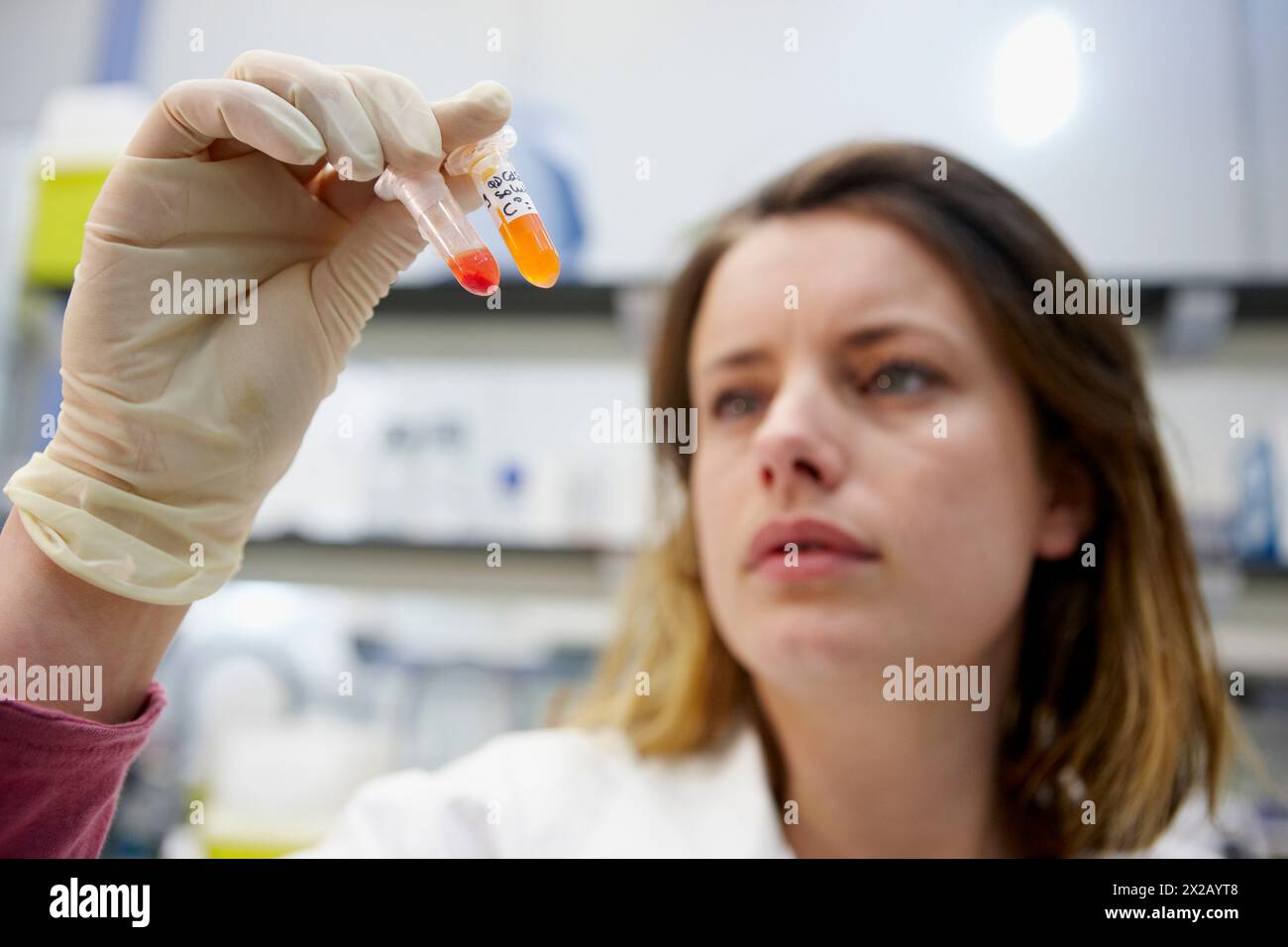 Quantum dot samples hi-res stock photography and images - Alamy