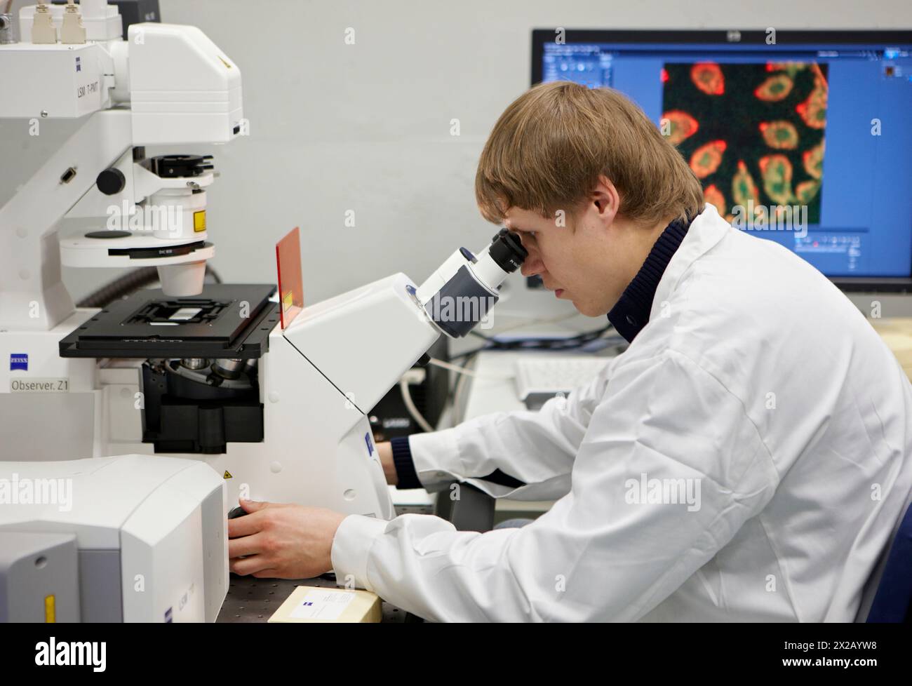 Analying fluorescent labelled samples, Characterization Laboratory ...