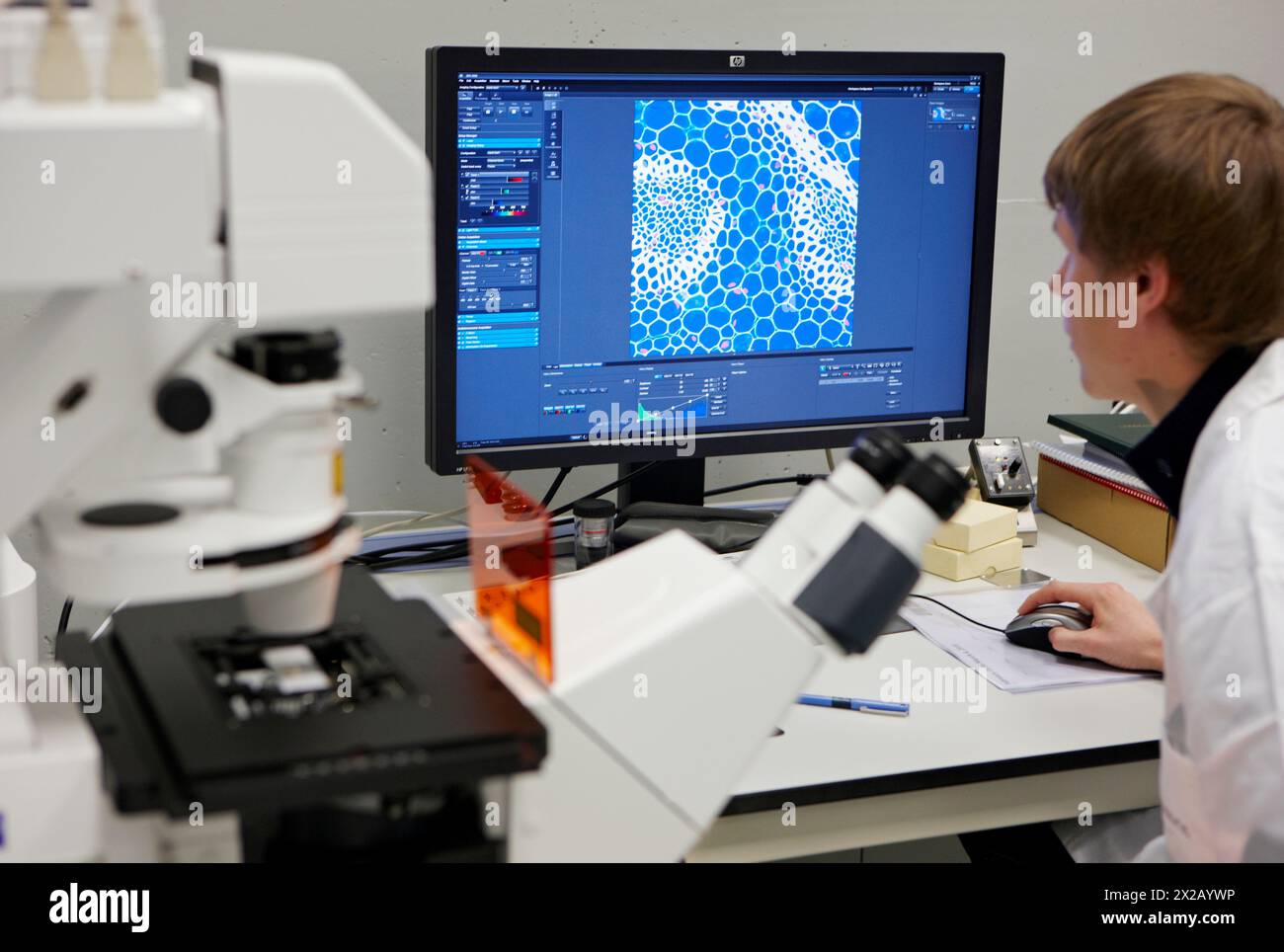 Analying fluorescent labelled samples, Characterization Laboratory ...