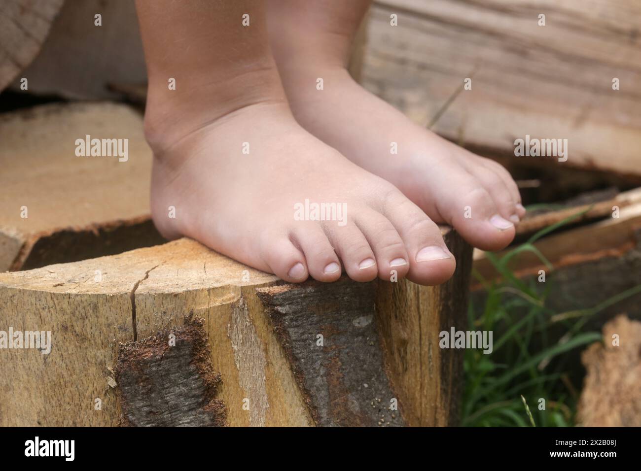 Child feet on wood log, barefoot little girl on tree trunk, countryside ...