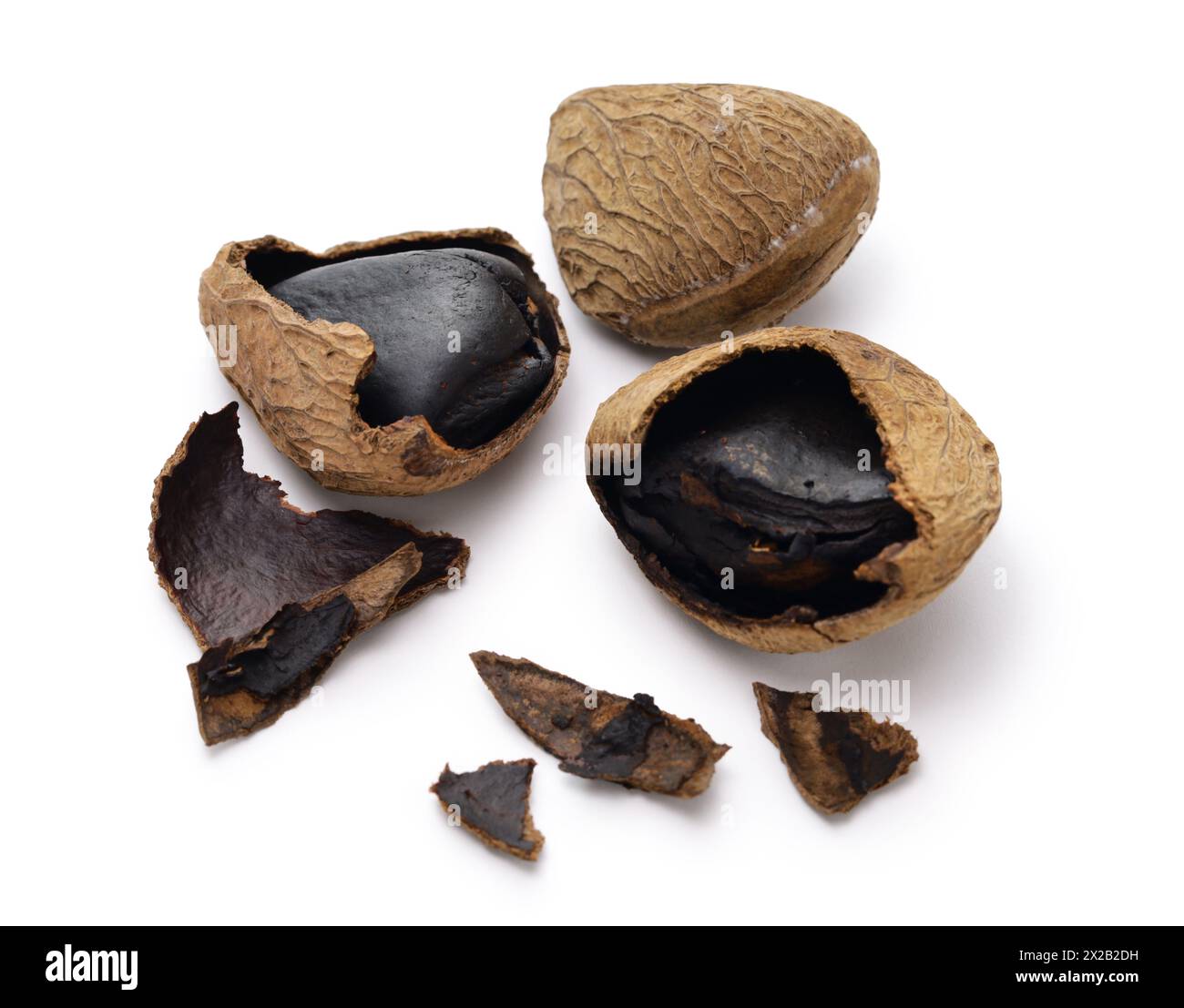 keluak ( pangium seed), used as spice in Indonesian cooking, edible by ...