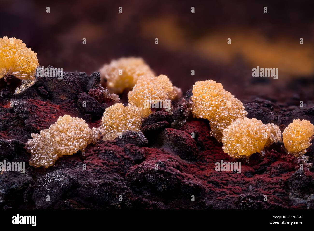 Un potosi hi-res stock photography and images - Alamy