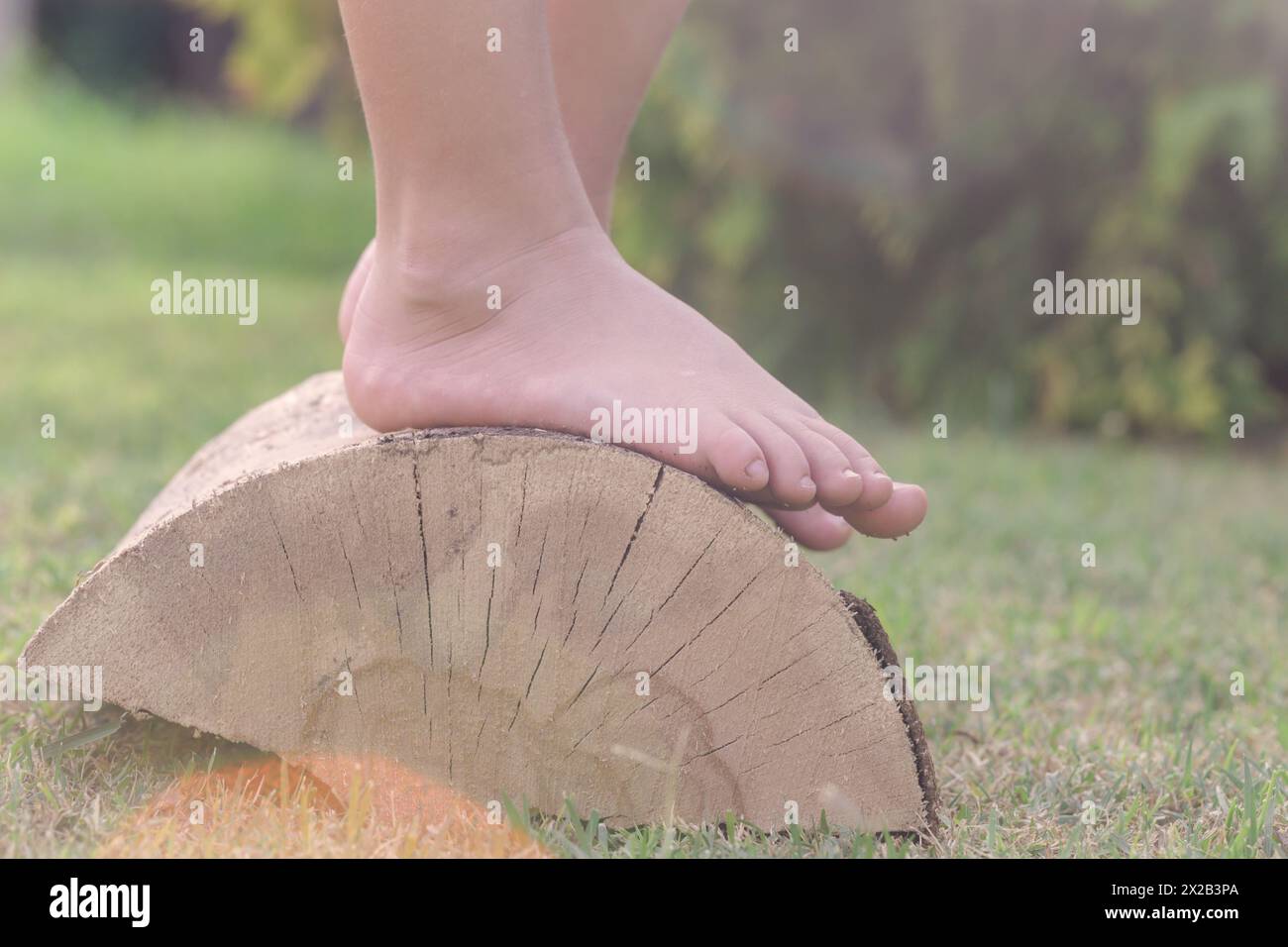 Child feet on wood log, barefoot little girl on tree trunk, countryside ...