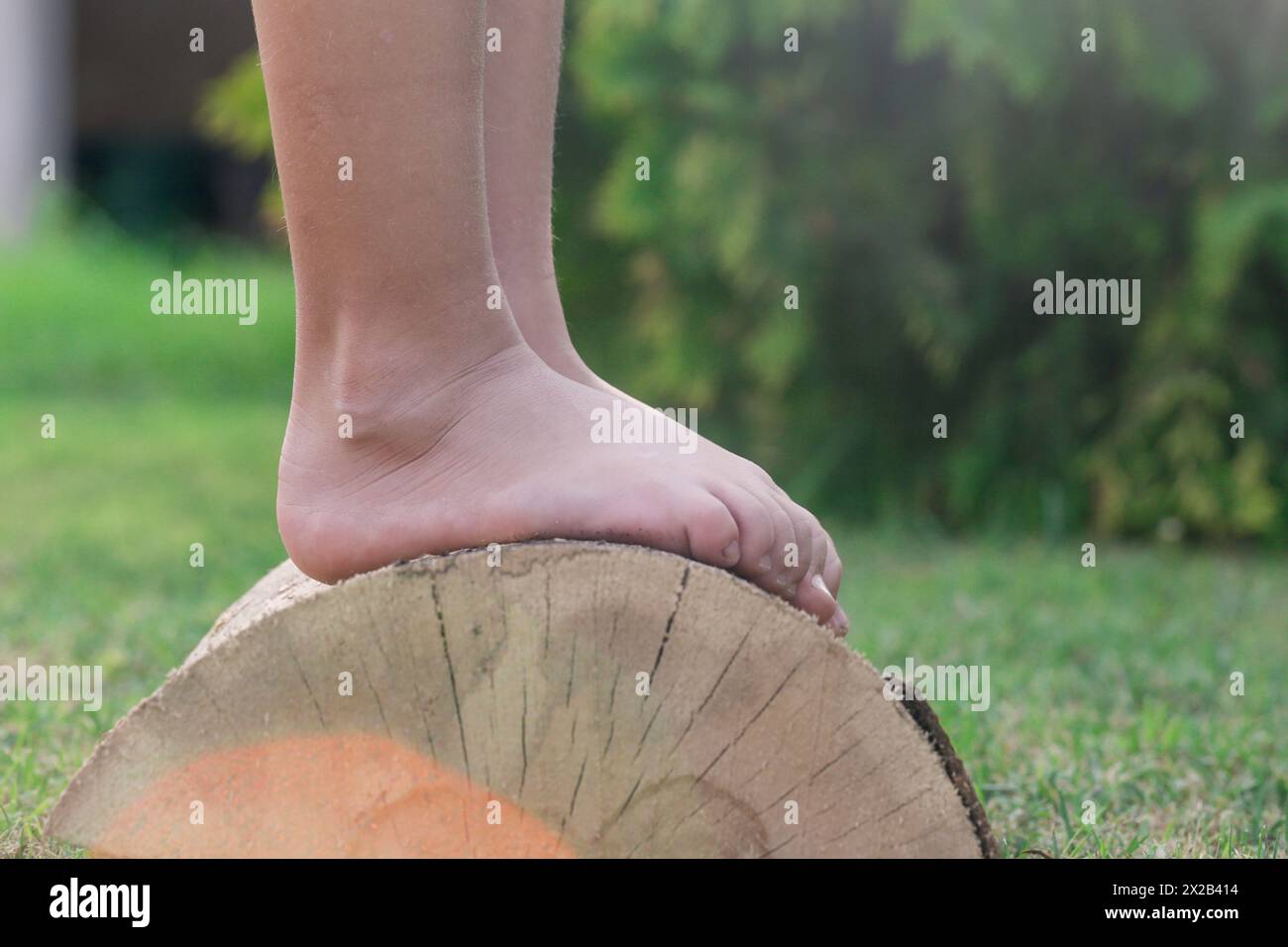 Child feet on wood log, barefoot little girl on tree trunk, countryside ...