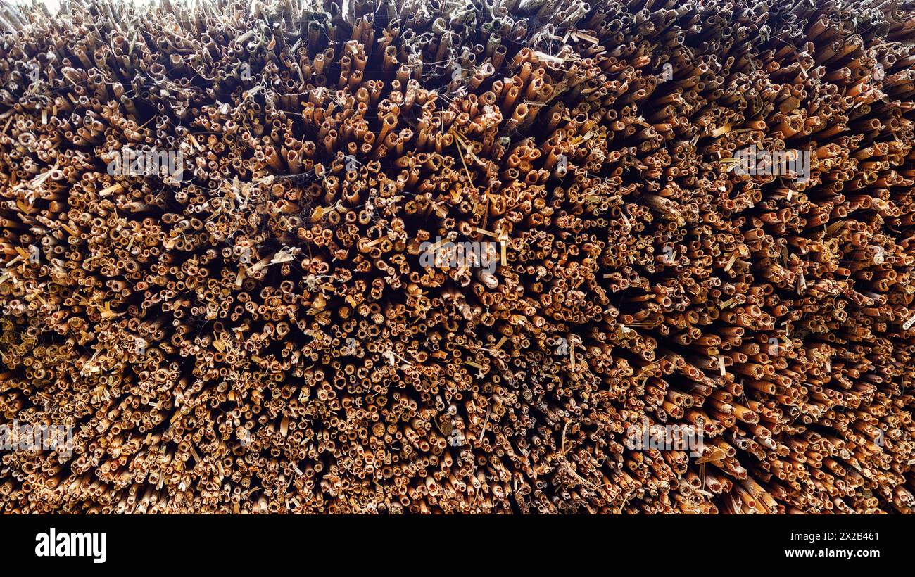 Thatched roof texture background in close up, view from bottom Stock ...