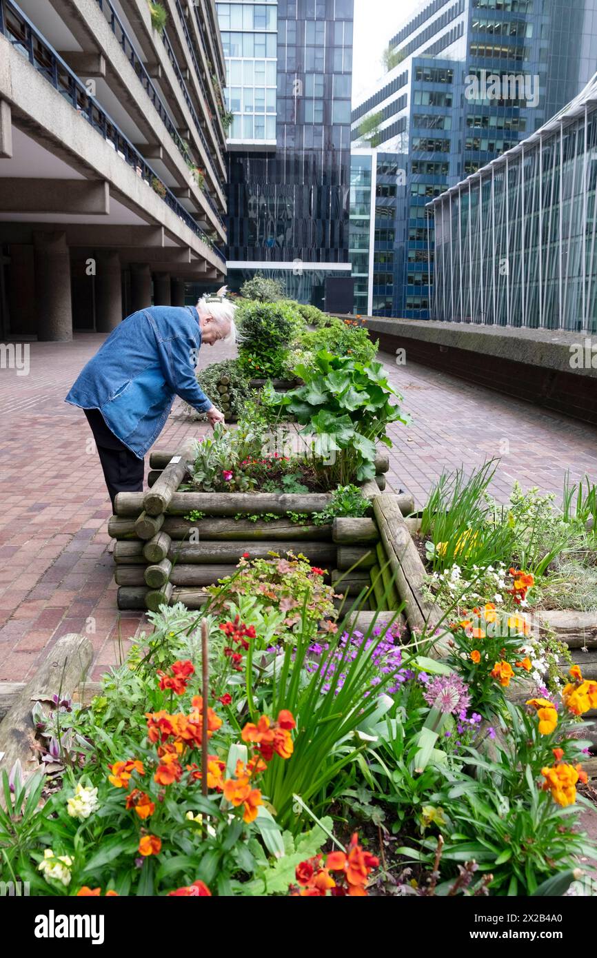Office buildings elderly woman gardening outside Barbican Estate flats ...