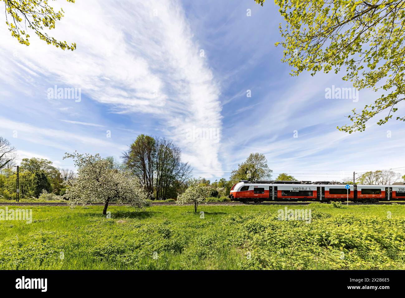 Siemens Desiro ML local train, Vorarlberg ÖBB local transport fleet travelling in the border ...