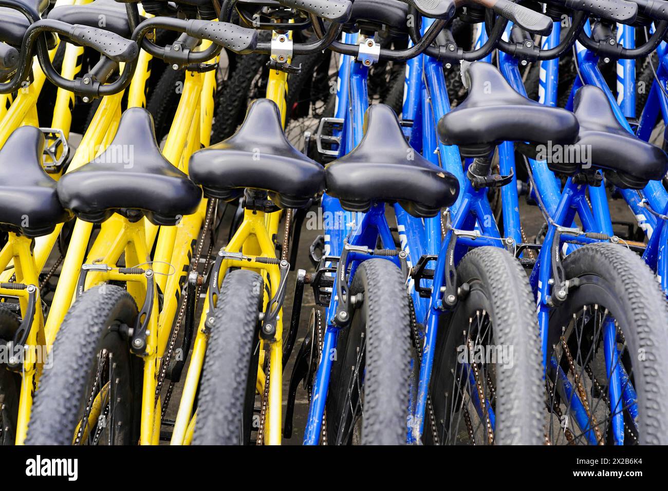 Rental bicycles, Xian, Shaanxi, China, Asia, Rows of yellow and blue ...