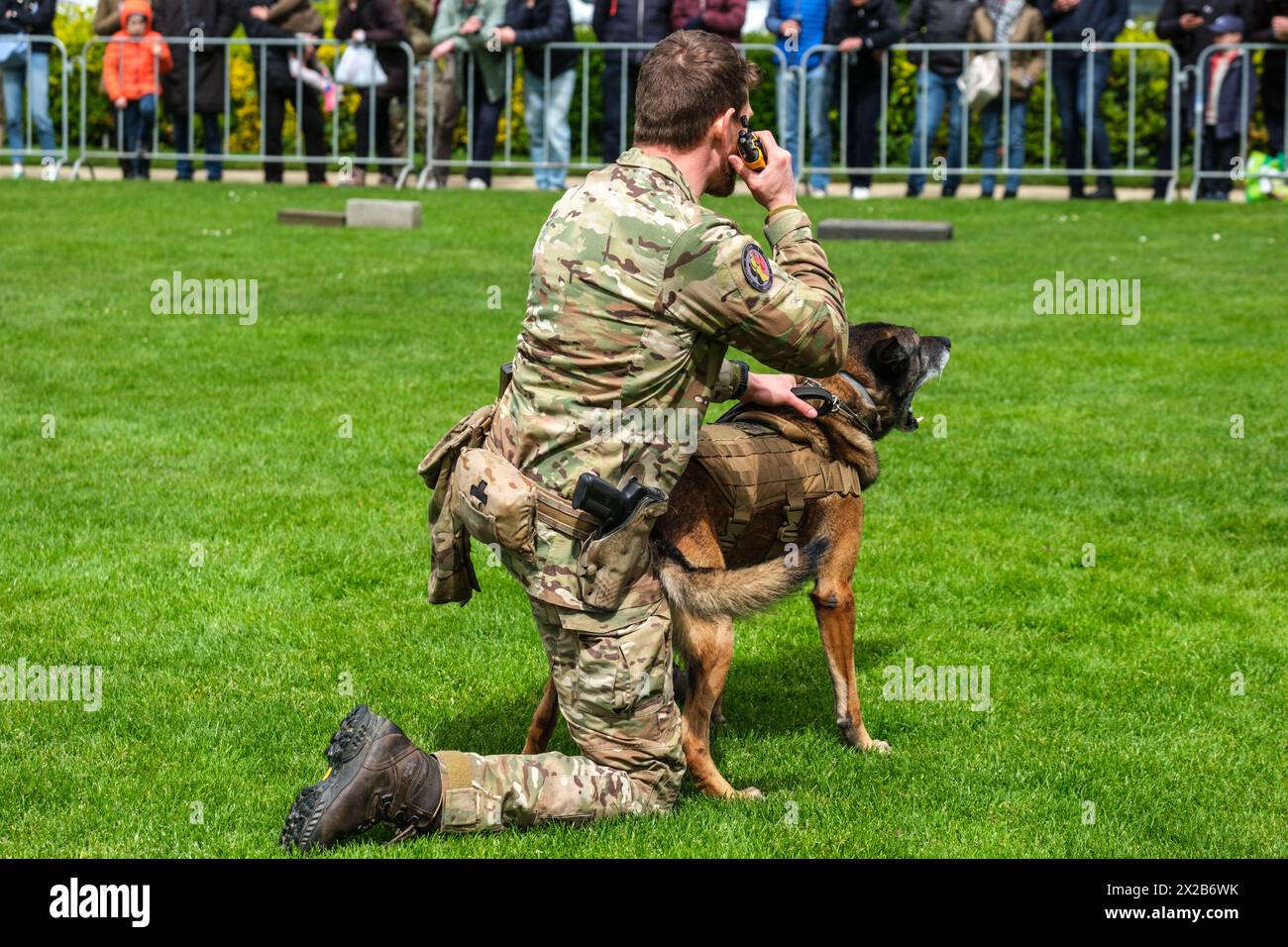 About two hundred dogs work in the belgian army. Detection, attack ...