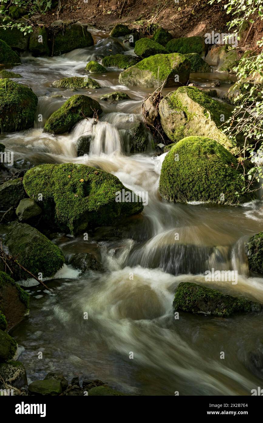 Mountain stream in the forest with mossy basalt rocks, blocks of basalt ...