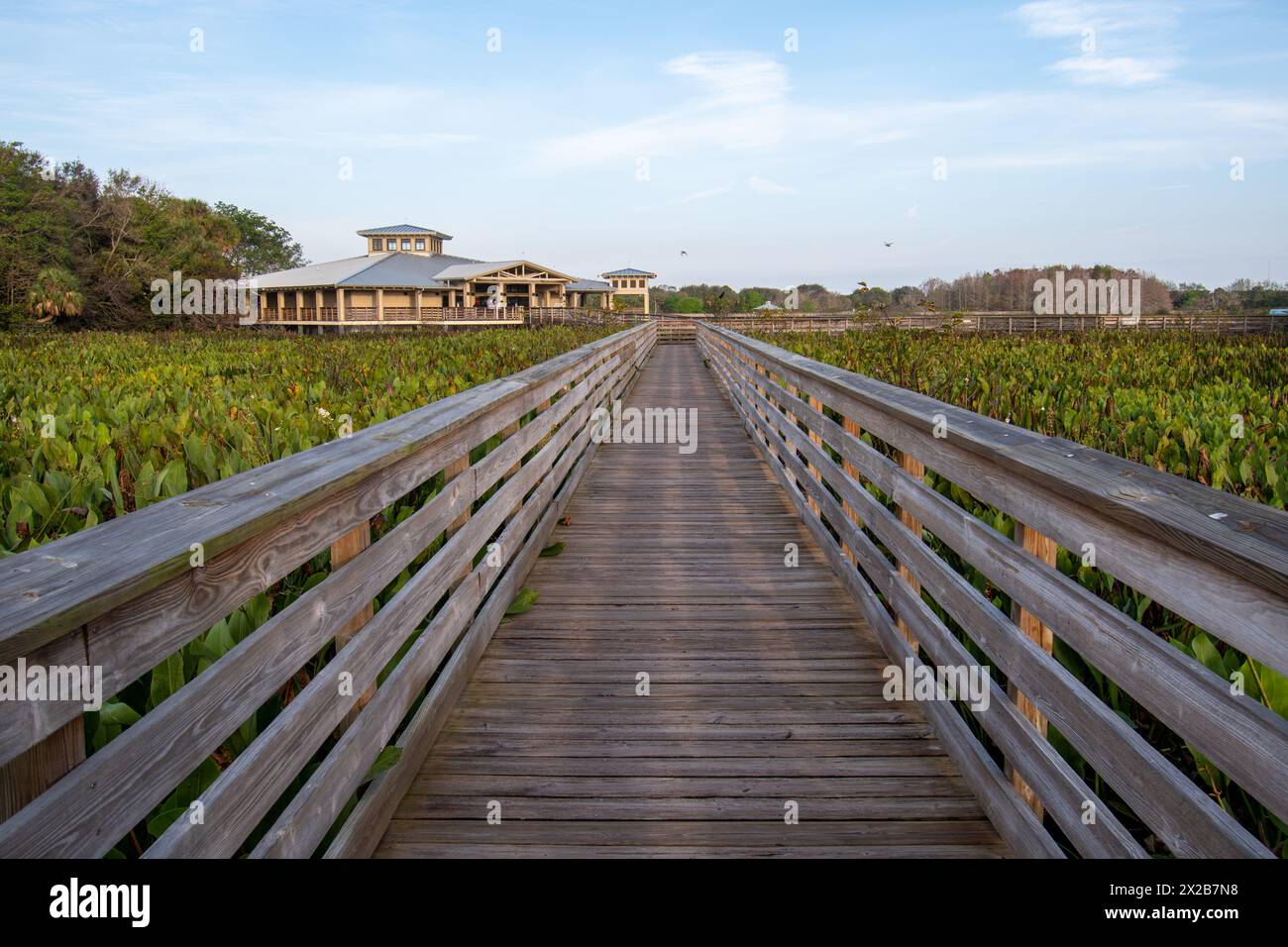 Boardwalk and sunrise cloudscape over constructed wetlands of Green Cay Nature Center in Boynton ...
