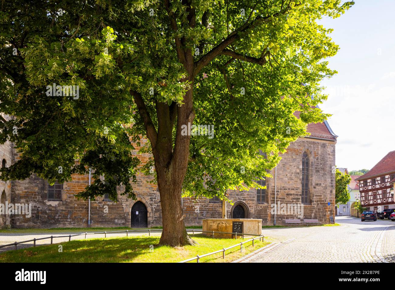 Fountain and peace oak at the Oberkirche, Arnstadt, Thuringia, Germany ...