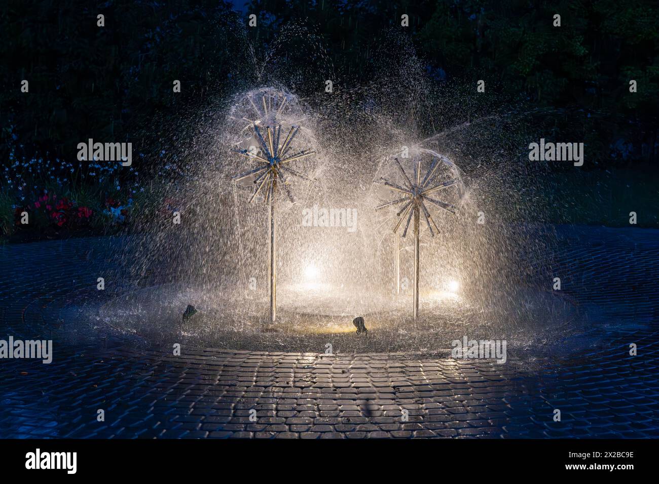 Dandelion fountain at night. Water splashing Stock Photo - Alamy