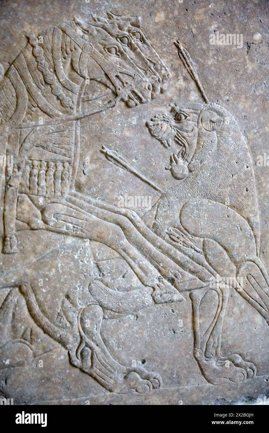 Palace Relief, Reconstruction of Assyrian Palace, Pergamon Museum ...