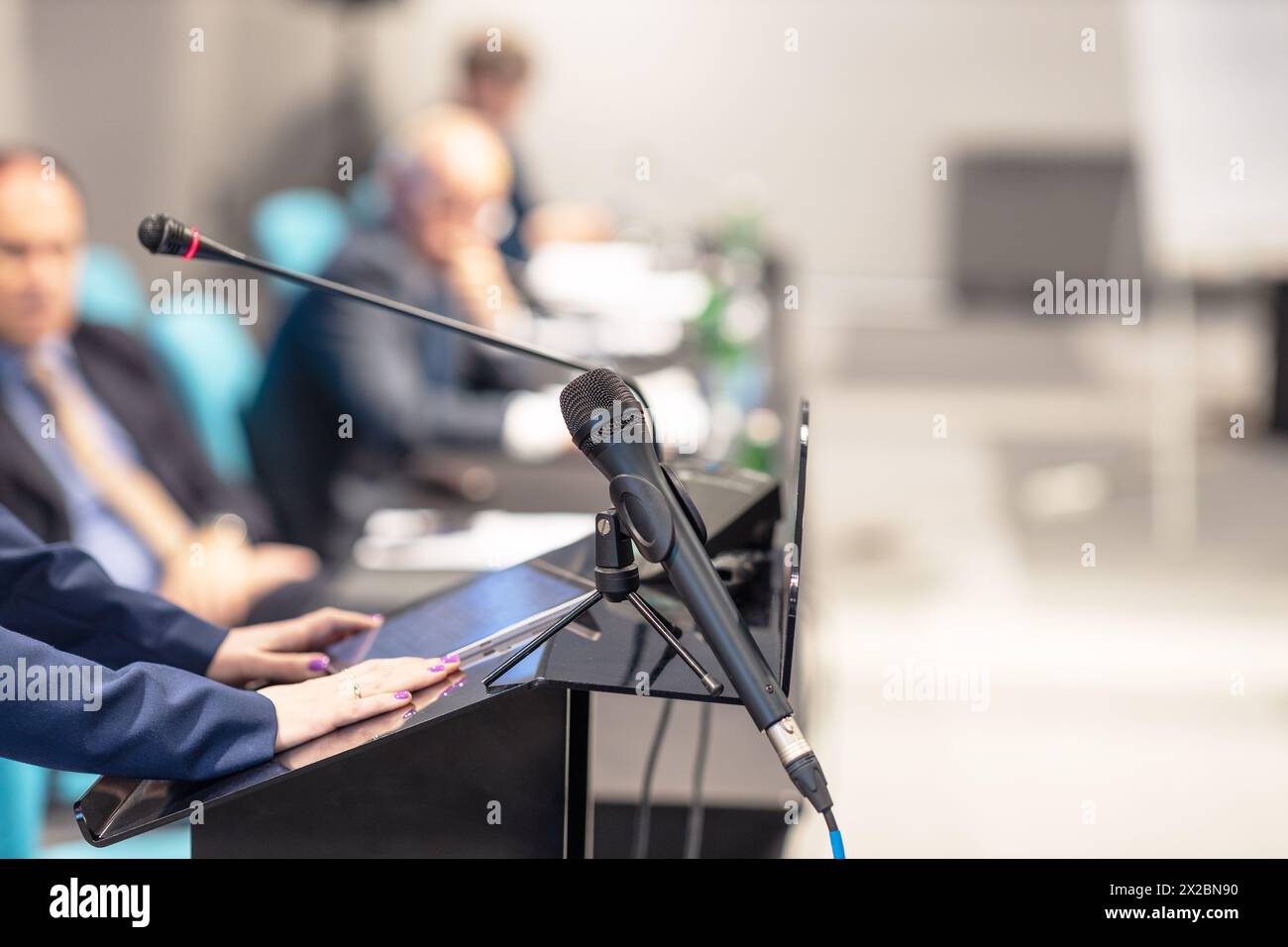 Business conference, corporate presentation, workshop, coaching ...