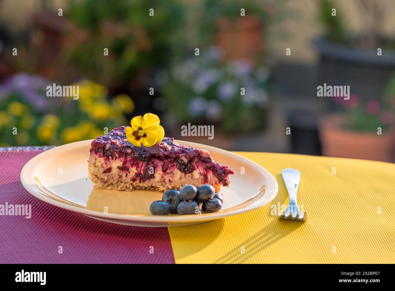 healthy colorful vegan raw dessert Stock Photo - Alamy