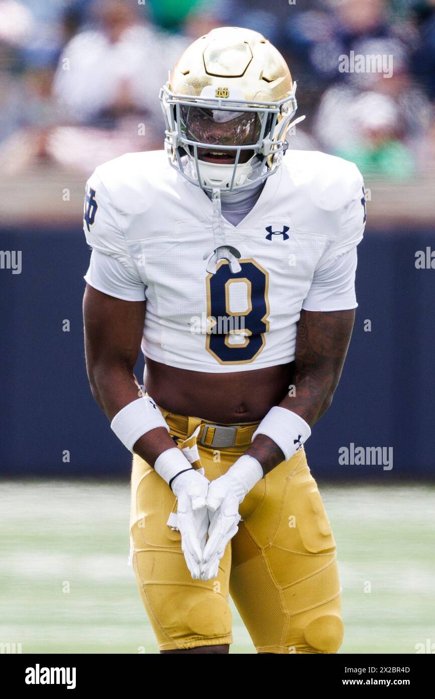 Notre dame 2024 hi-res stock photography and images - Alamy