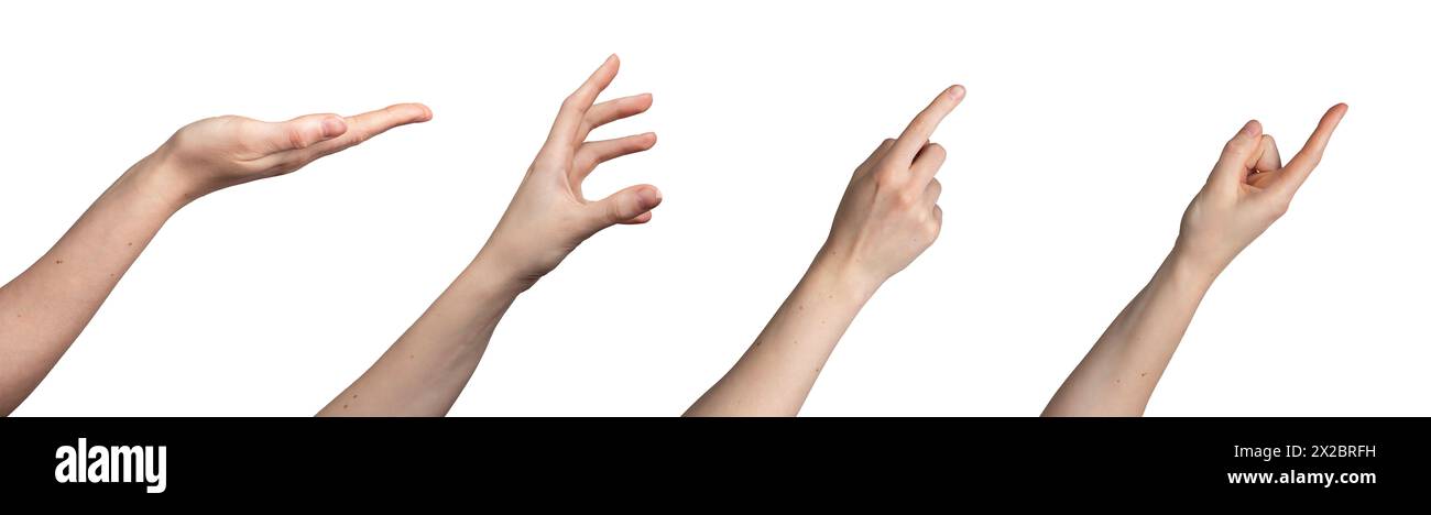 Woman s hand gestures isolated on white background. Female palm holding ...