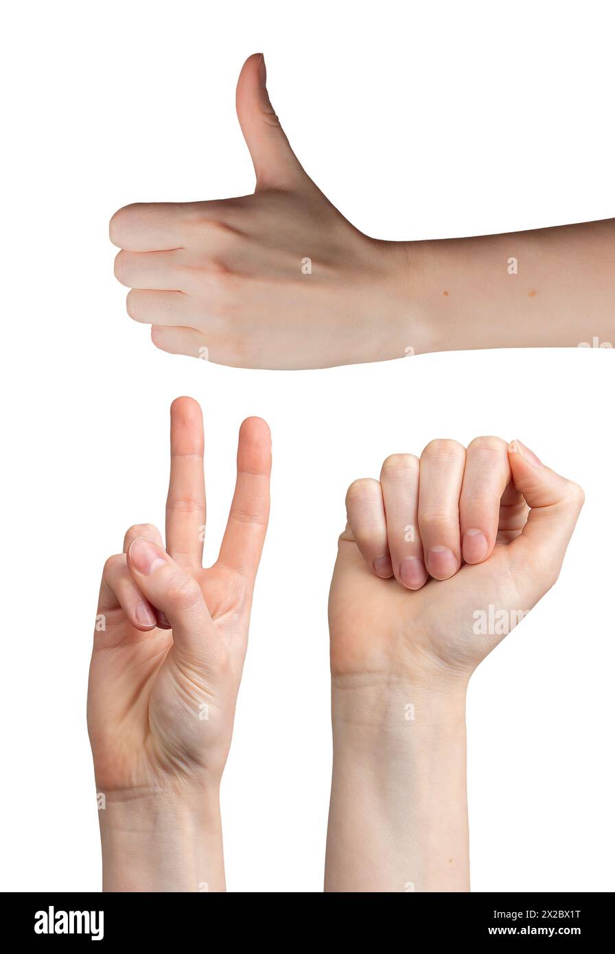Female hand gestures collection. Caucasian woman showing victory sign, thumbs up, fist, two ...