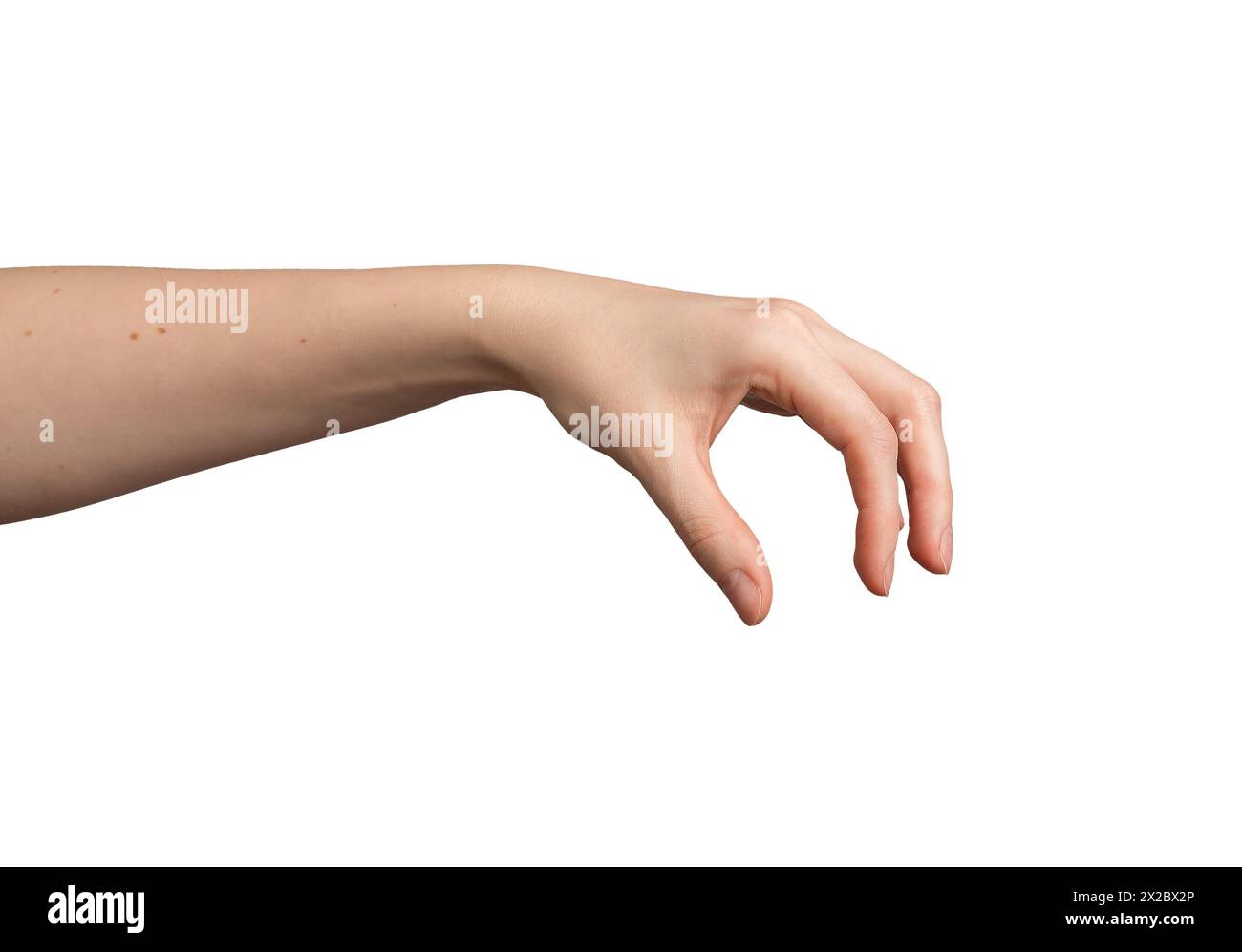 Female hand gestures isolated on white background. Arm showing signs ...