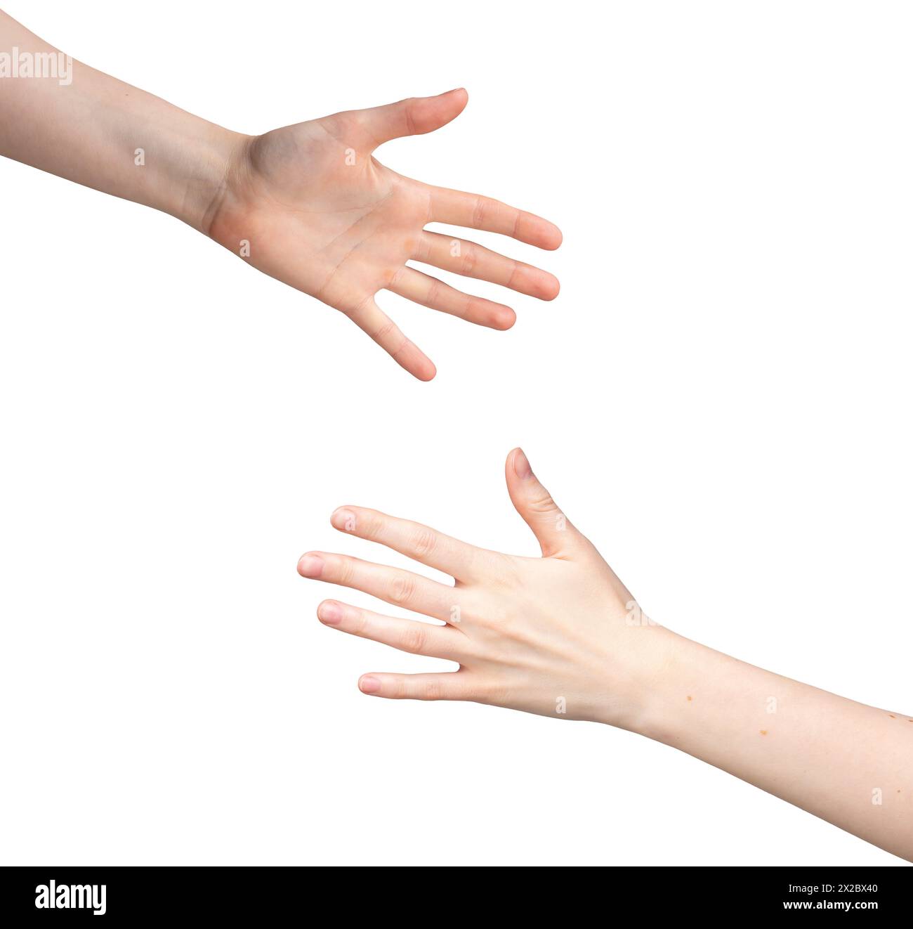 Female hand gestures, white background. Palm and fingers in dorsal view ...