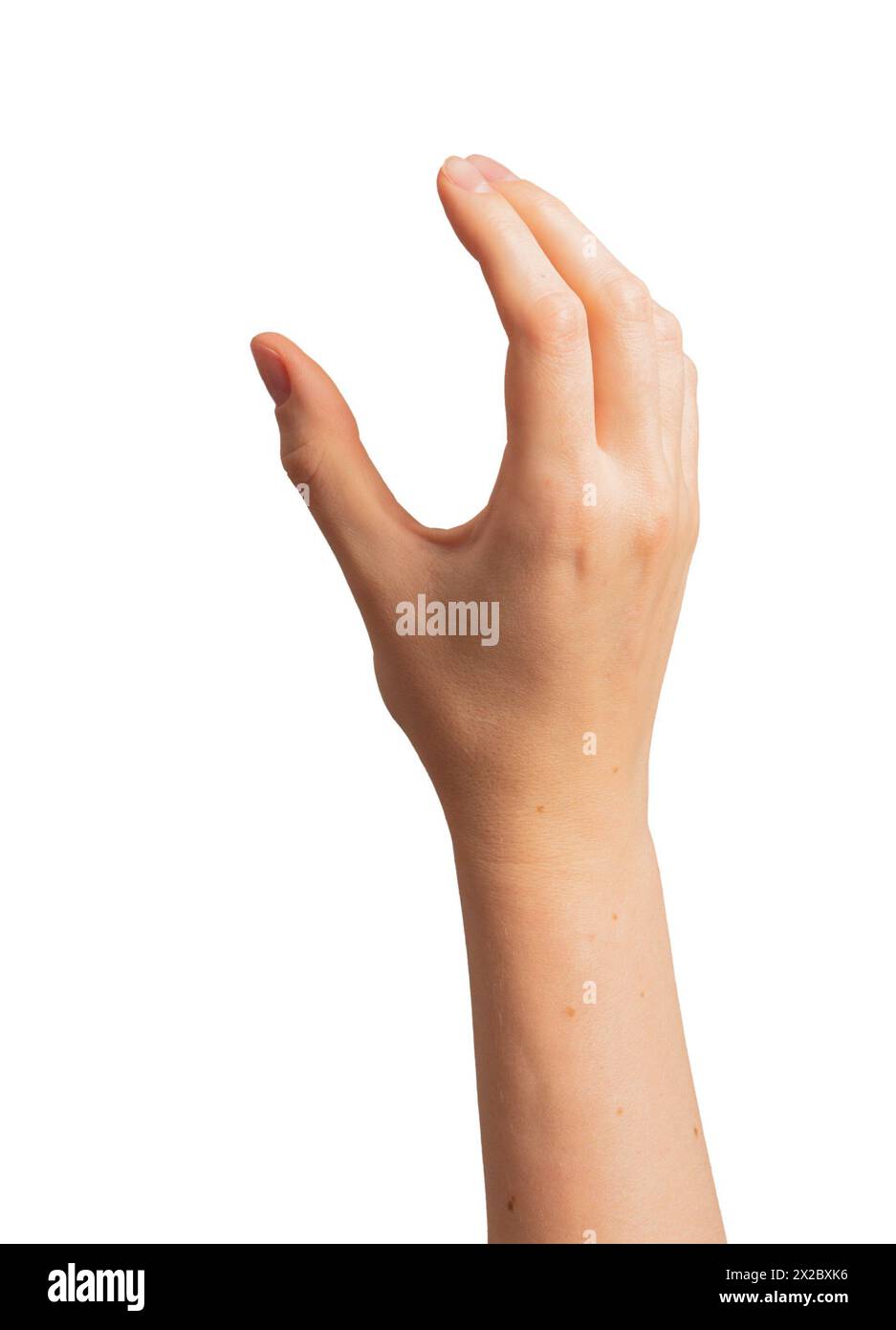 Hand gestures, signs in communication. Human skin, fingers, body part express nonverbal concept ...