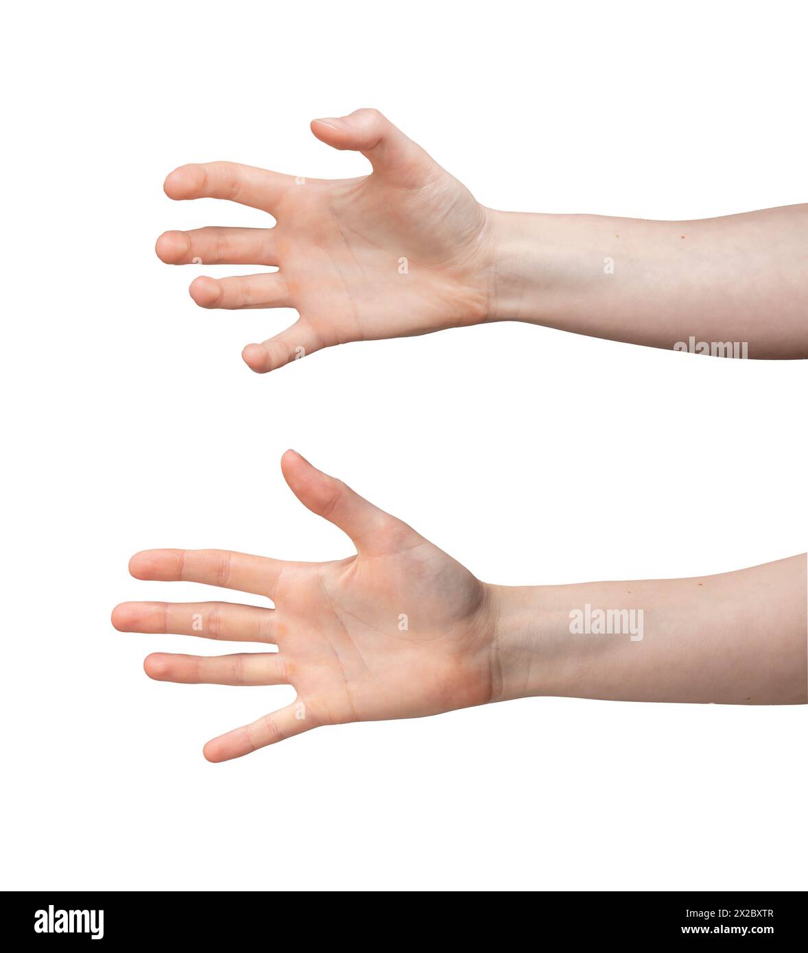 Showing empty hand gesture. Female palm, arm, wrist, fingers signaling ...