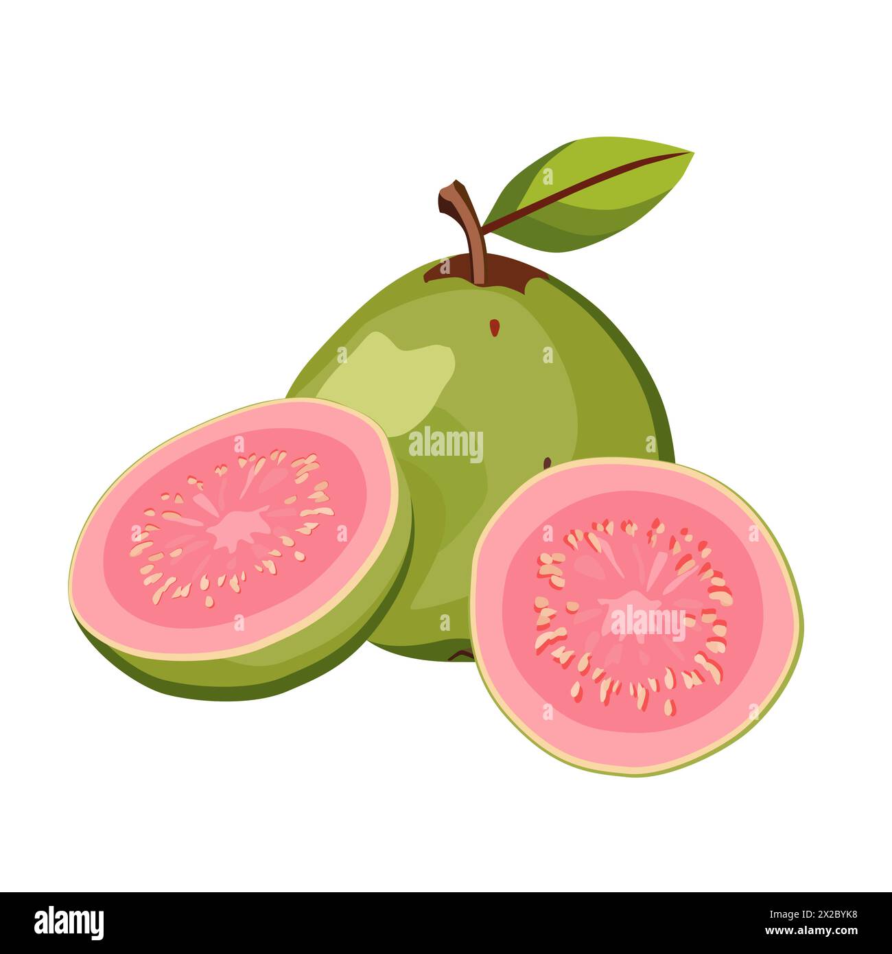 juicy and healthy green pink cut guava with green leaves. Isolated ...