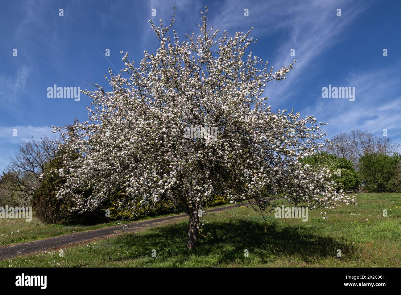 Bouilhac hi-res stock photography and images - Alamy