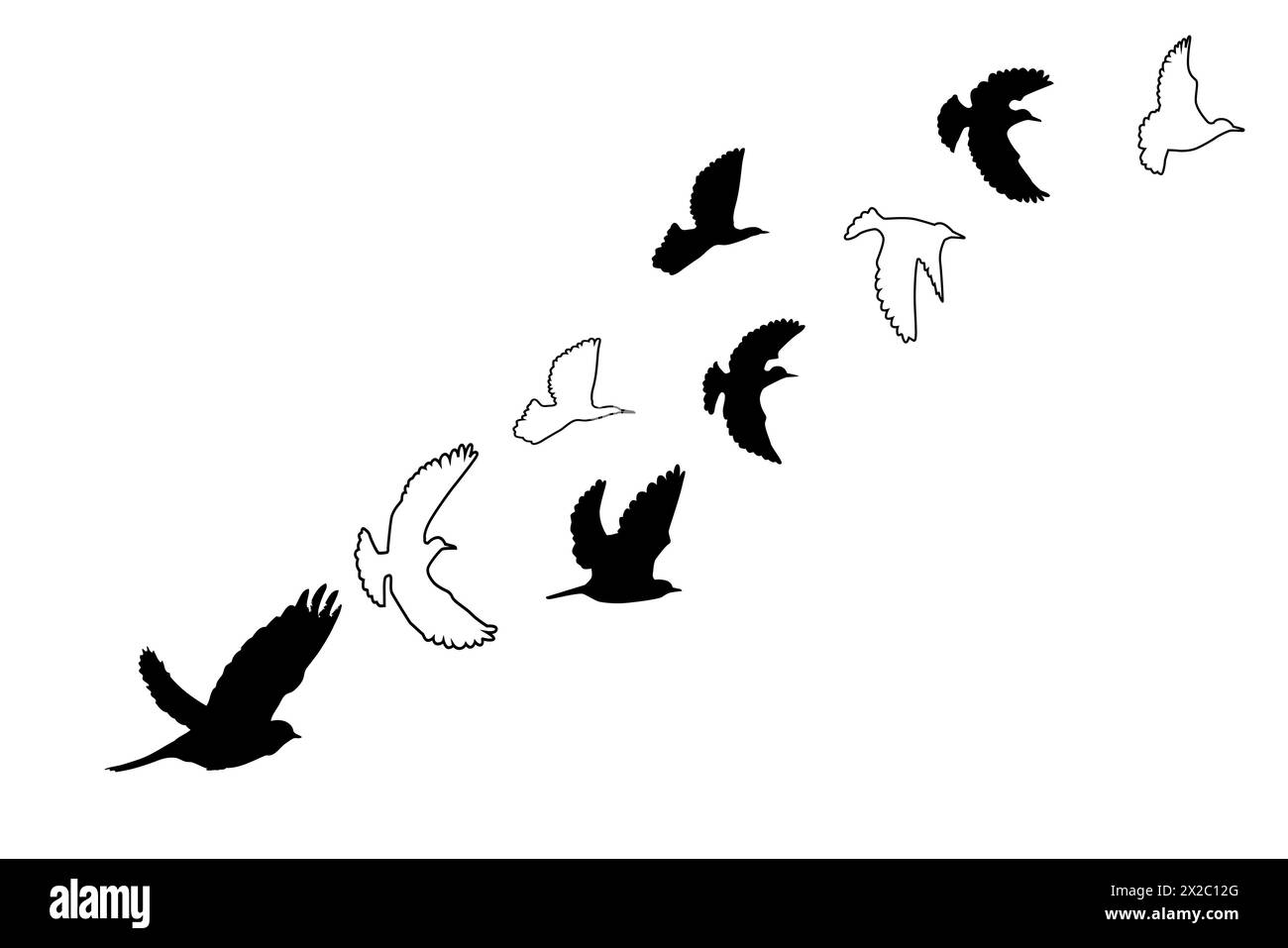 Flock Flying Birds Drawing