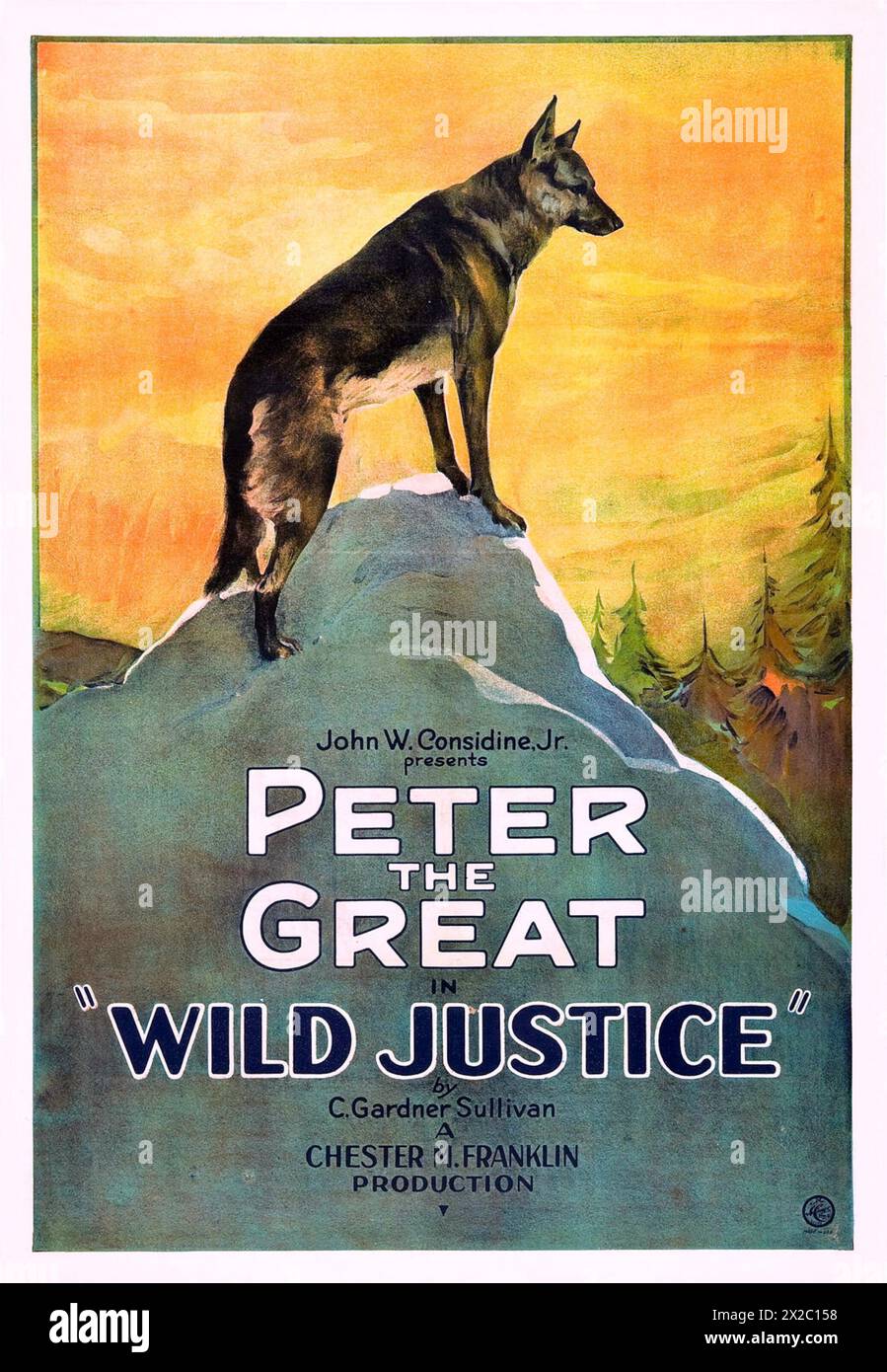 Wild Justice is a 1925 American silent adventure film directed by ...