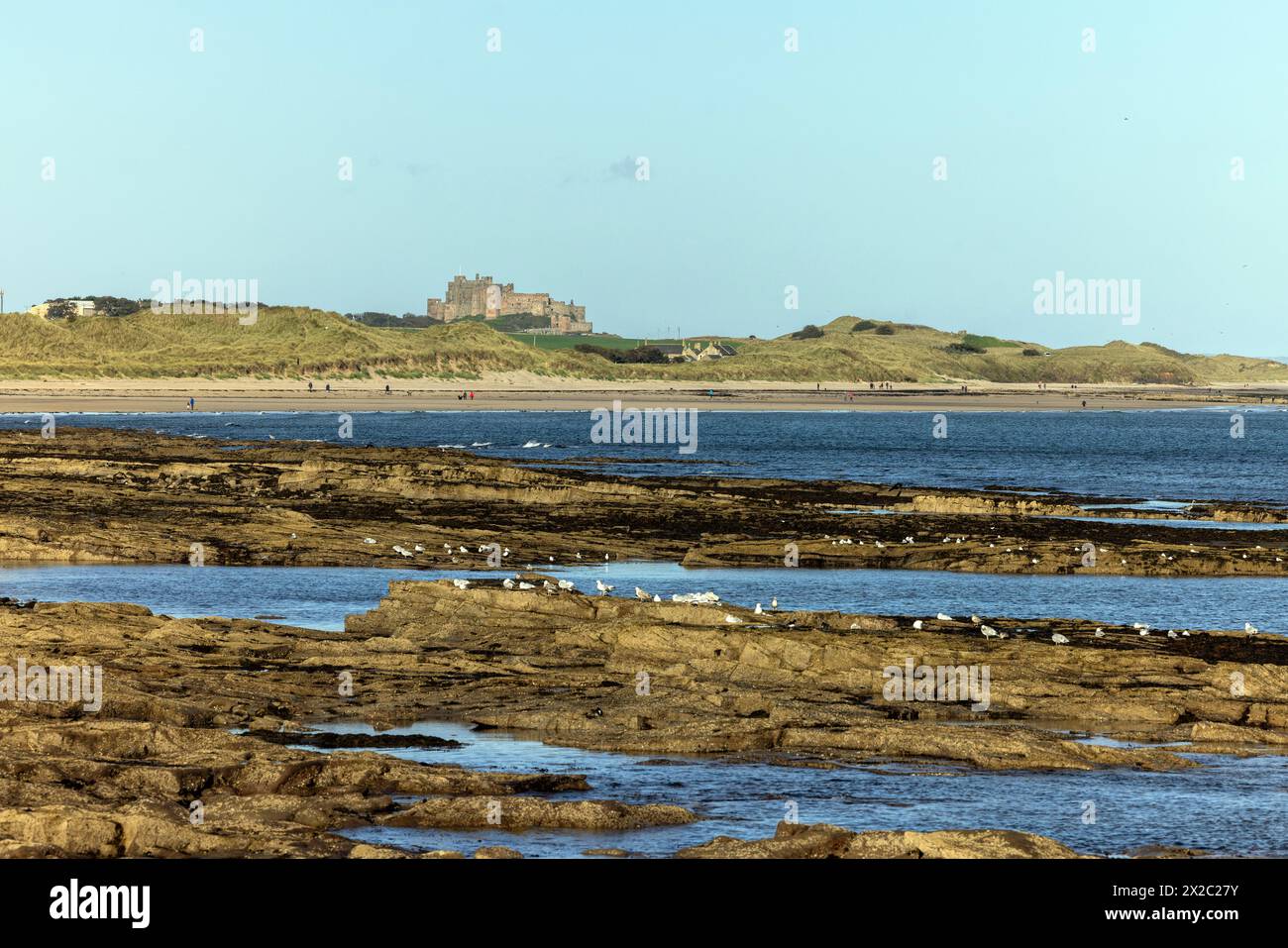 The coast in Northumberland, with Bamburgh Castle in the distance Stock ...