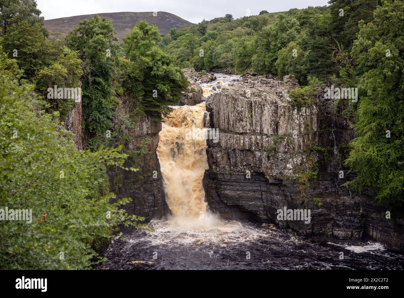 High Force waterfall in upper Teesdale, after a period of heavy rain ...