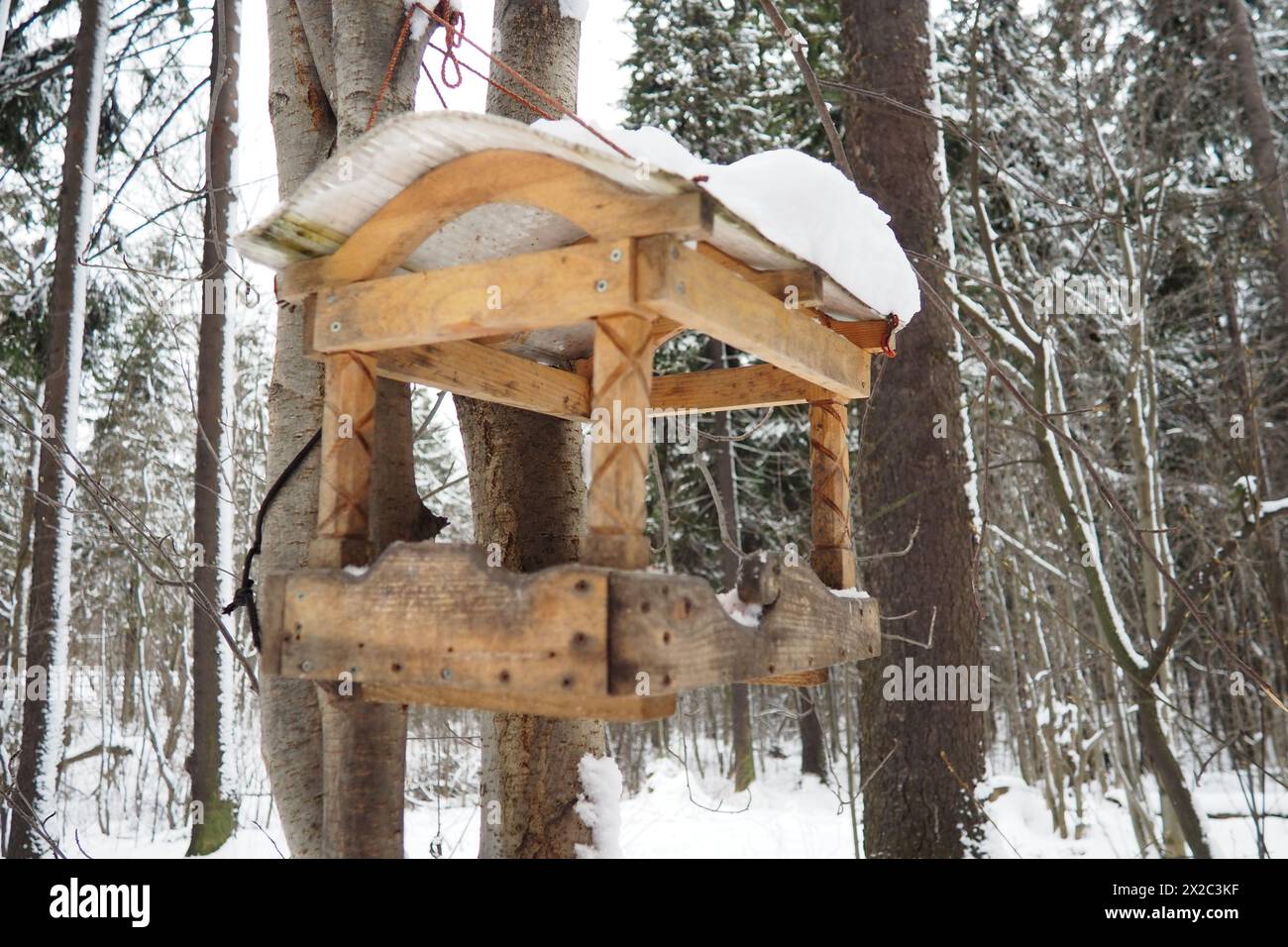 Hanging homemade feeder or platform for feeding birds and squirrels in ...