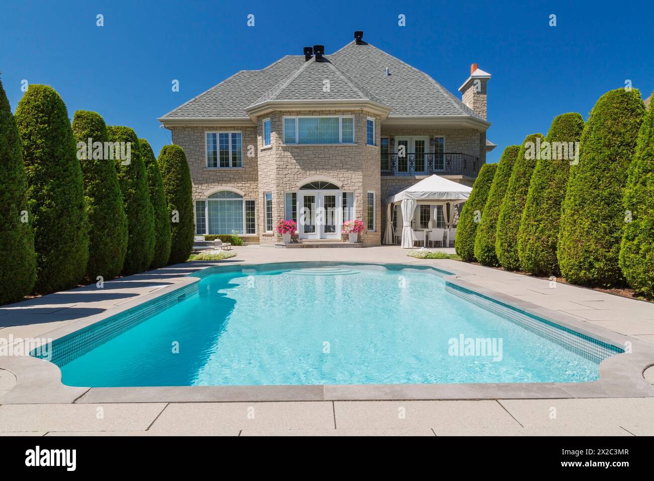 In-ground swimming pool bordered by rows of Thuja occidentallis - cedar ...