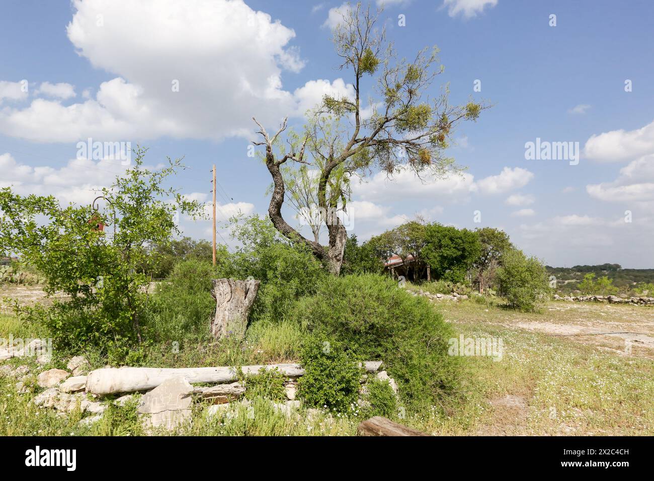 Eaton Hill Nature Preserve in Sonora, Texas Stock Photo - Alamy