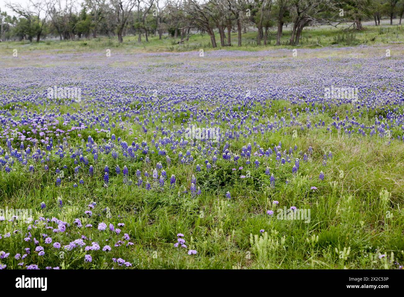 Us 290 hi-res stock photography and images - Alamy