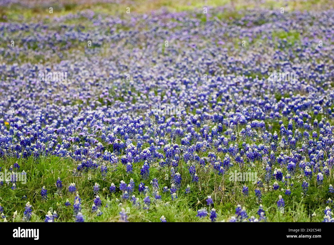 Us 290 hi-res stock photography and images - Alamy