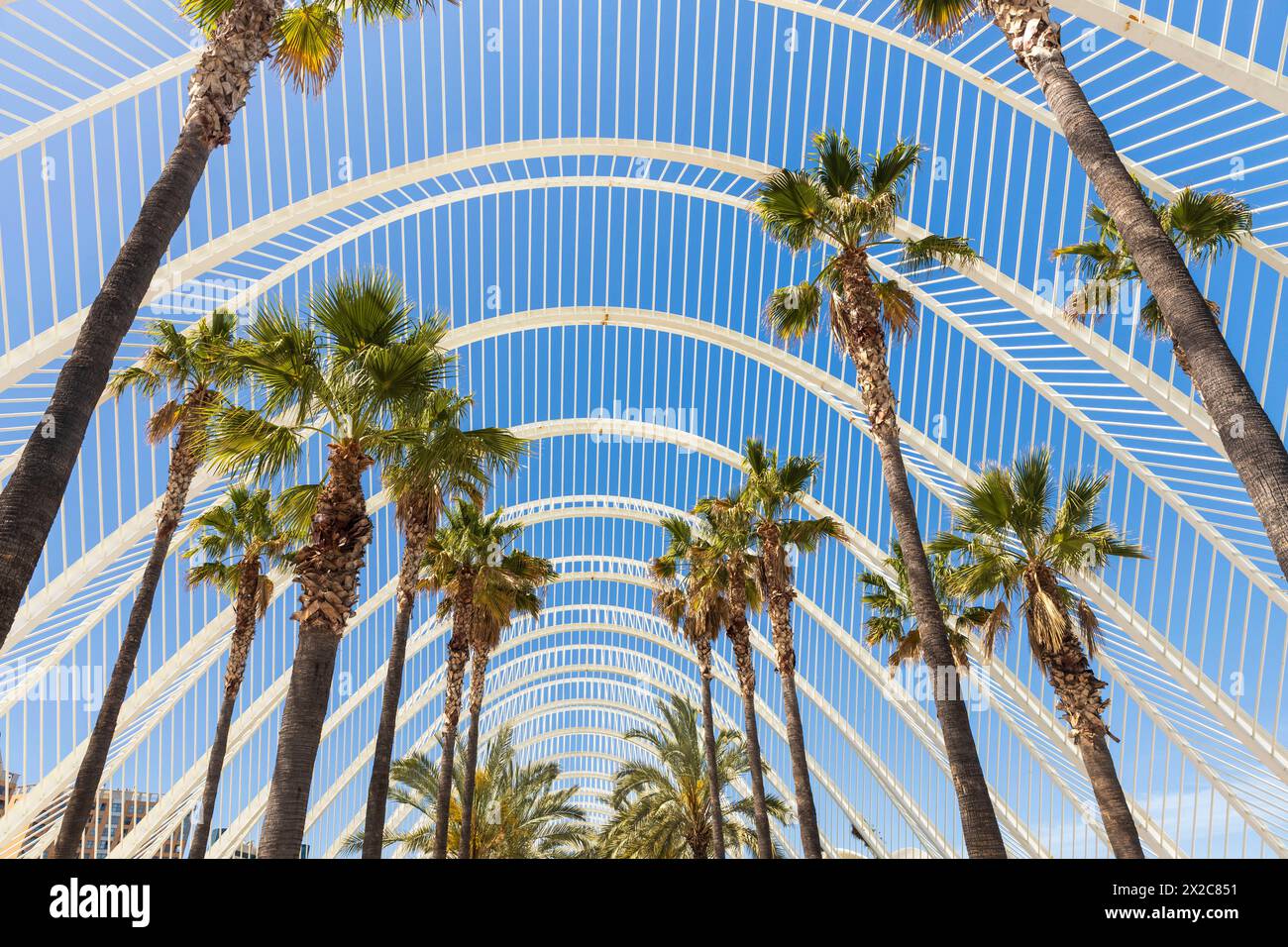 Valencia, Spain - 17 April 2024: Exterior Structure of the Umbracle ...