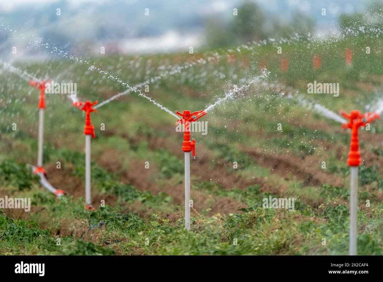 Field irrigation system, sprinkler irrigation Stock Photo - Alamy