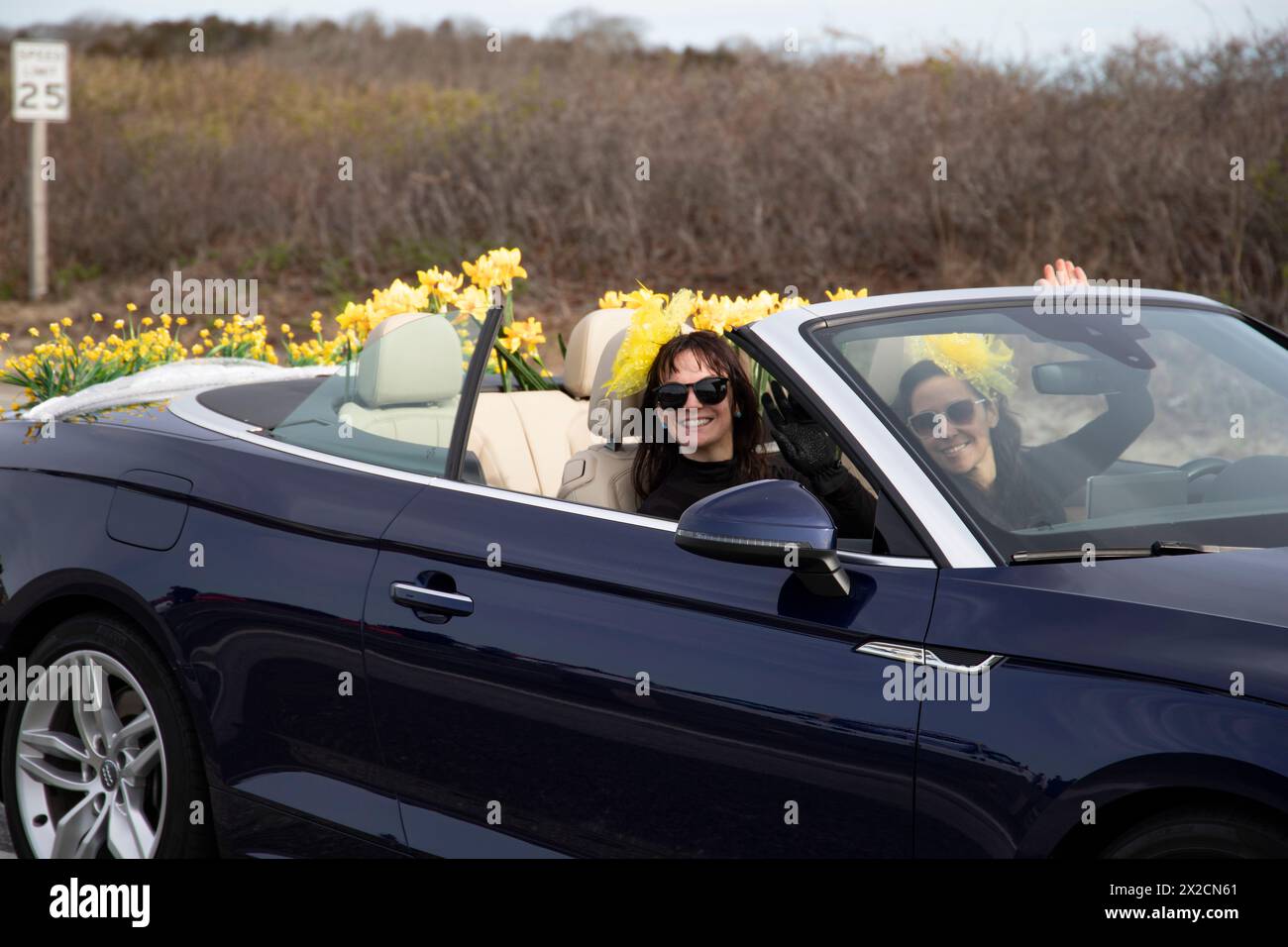 Newport, RI. Audrain's Daffodil Parade with decorated motorsports cars ...