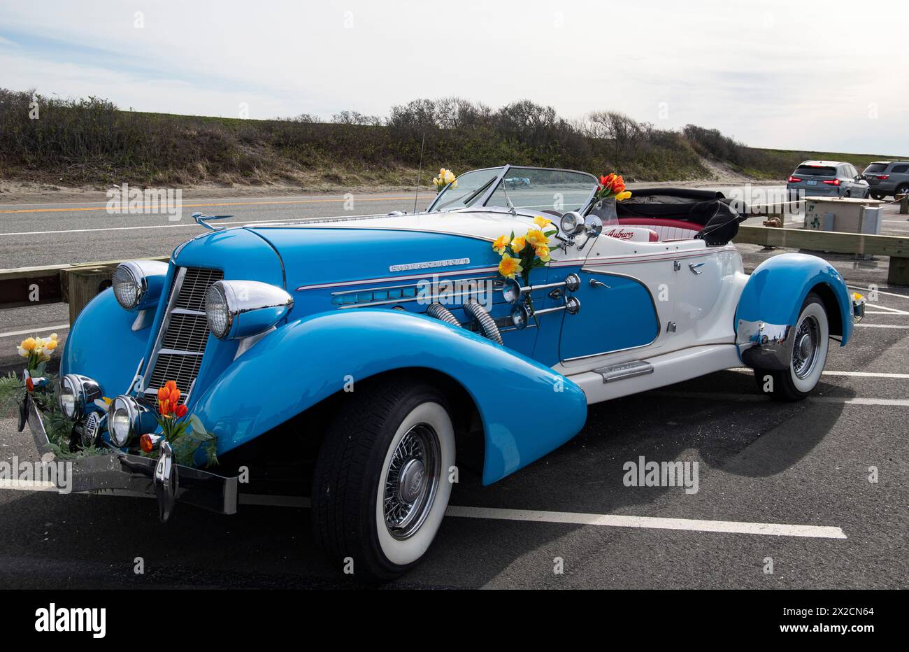 Newport, RI. Audrain's Daffodil Parade with decorated motorsports cars ...