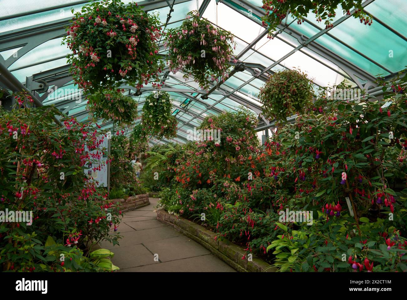 Amazonian Ecosystem Enchantment: Nature's Wonders in the Botanical ...