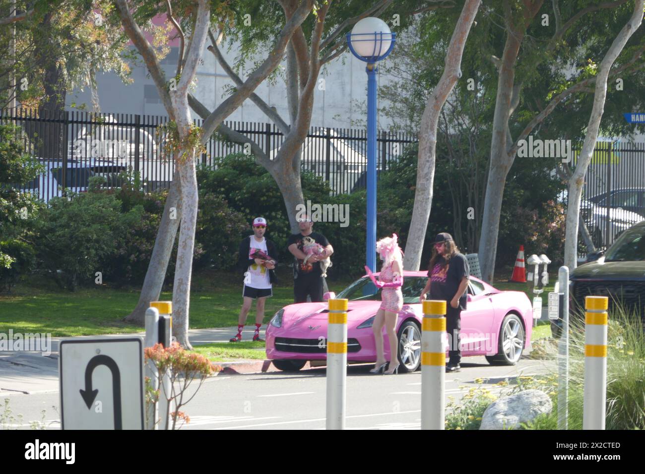 Angelyne pink hi-res stock photography and images - Alamy